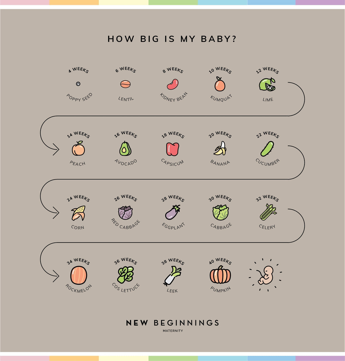 Baby Fruit Size By Week: How big is my baby? | New Beginnings