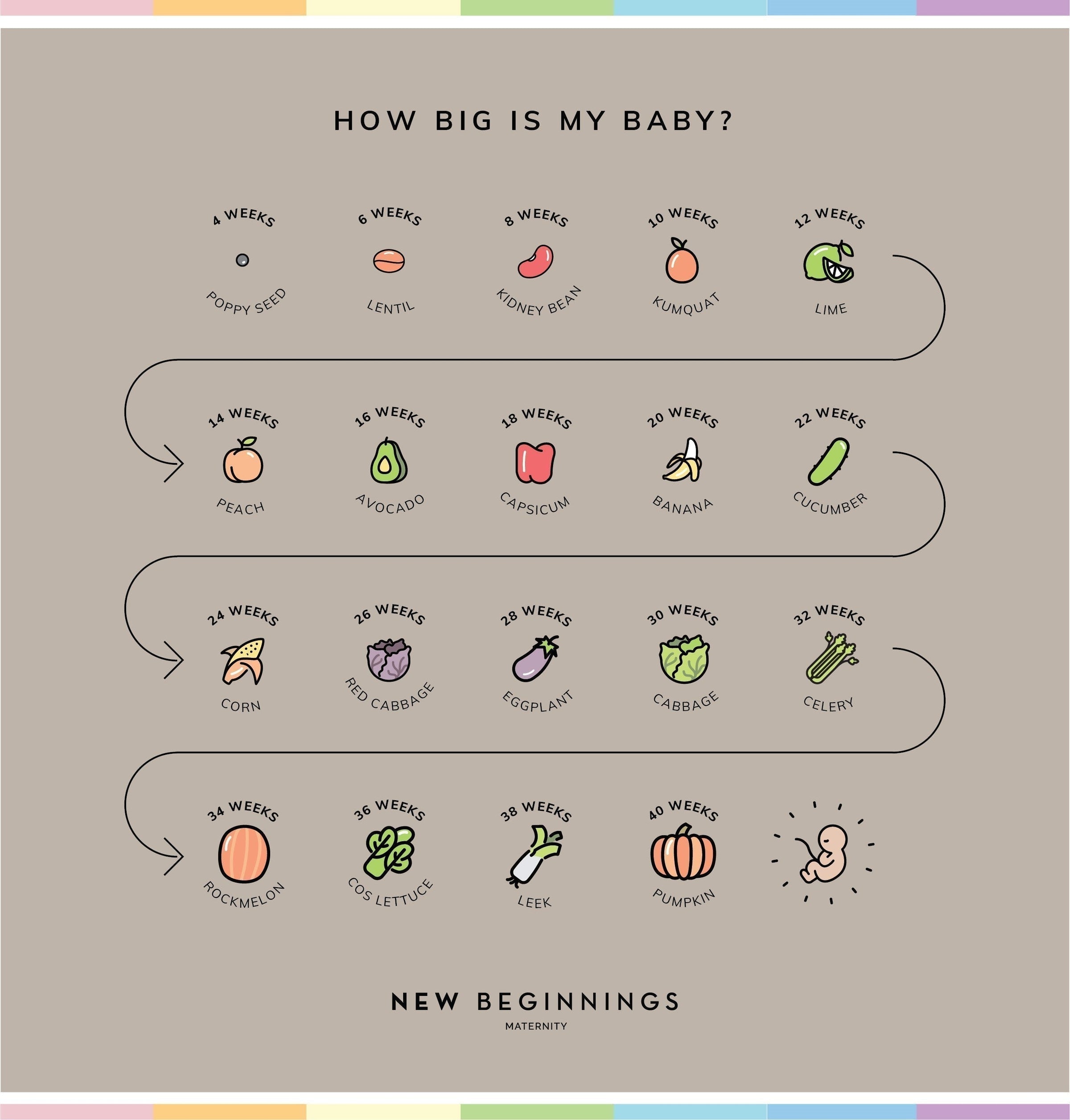 Baby Fruit Size By Week: How big is my baby? | New Beginnings